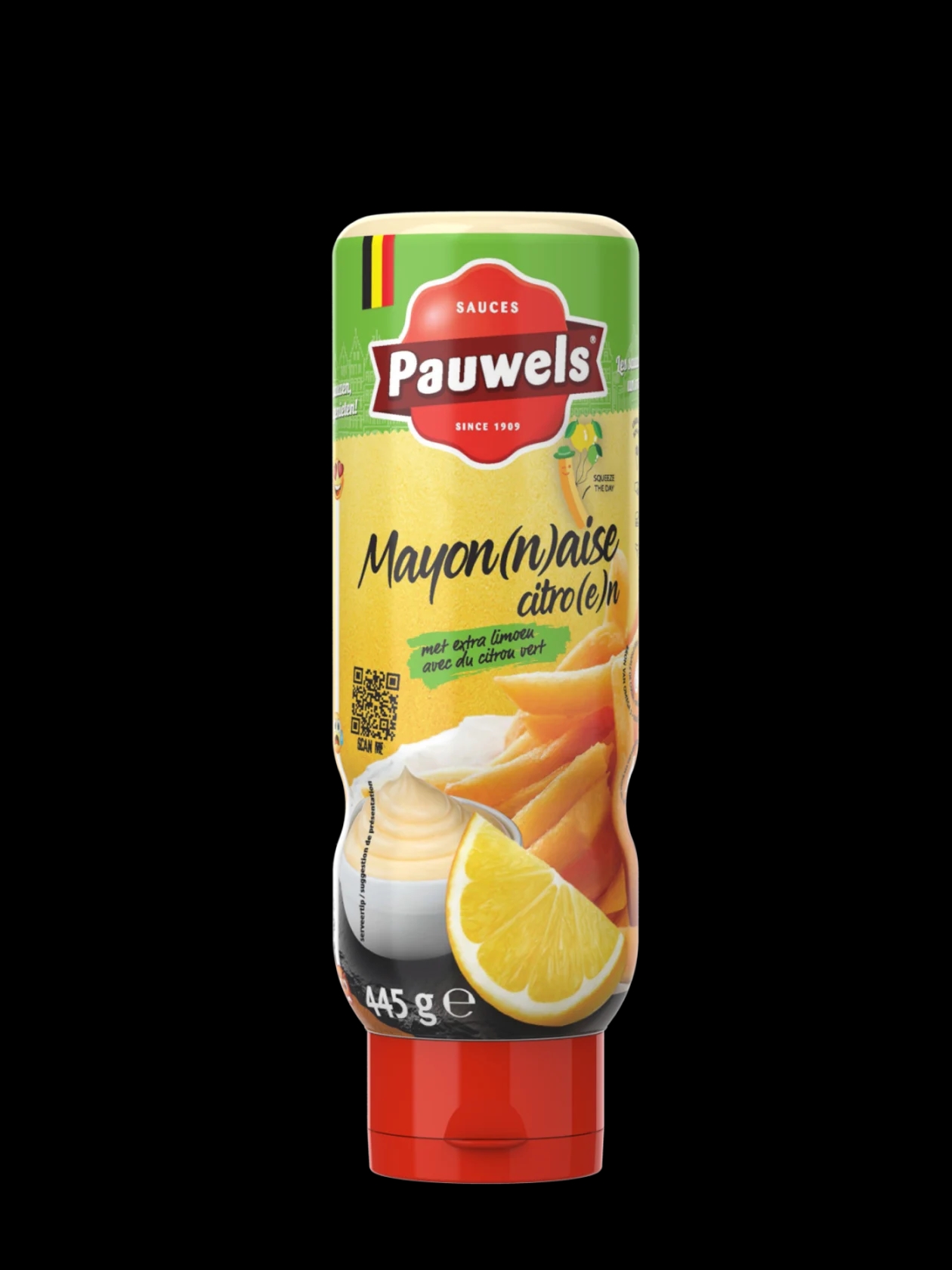Pauwels Sauzen